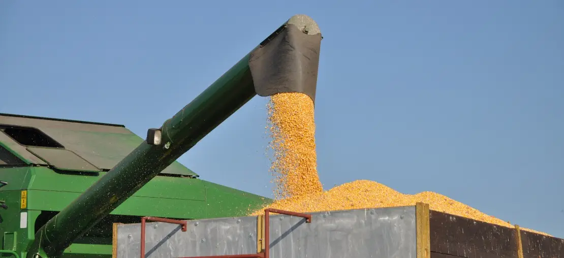 Carga a granel: o que é, tipos e como transportar?